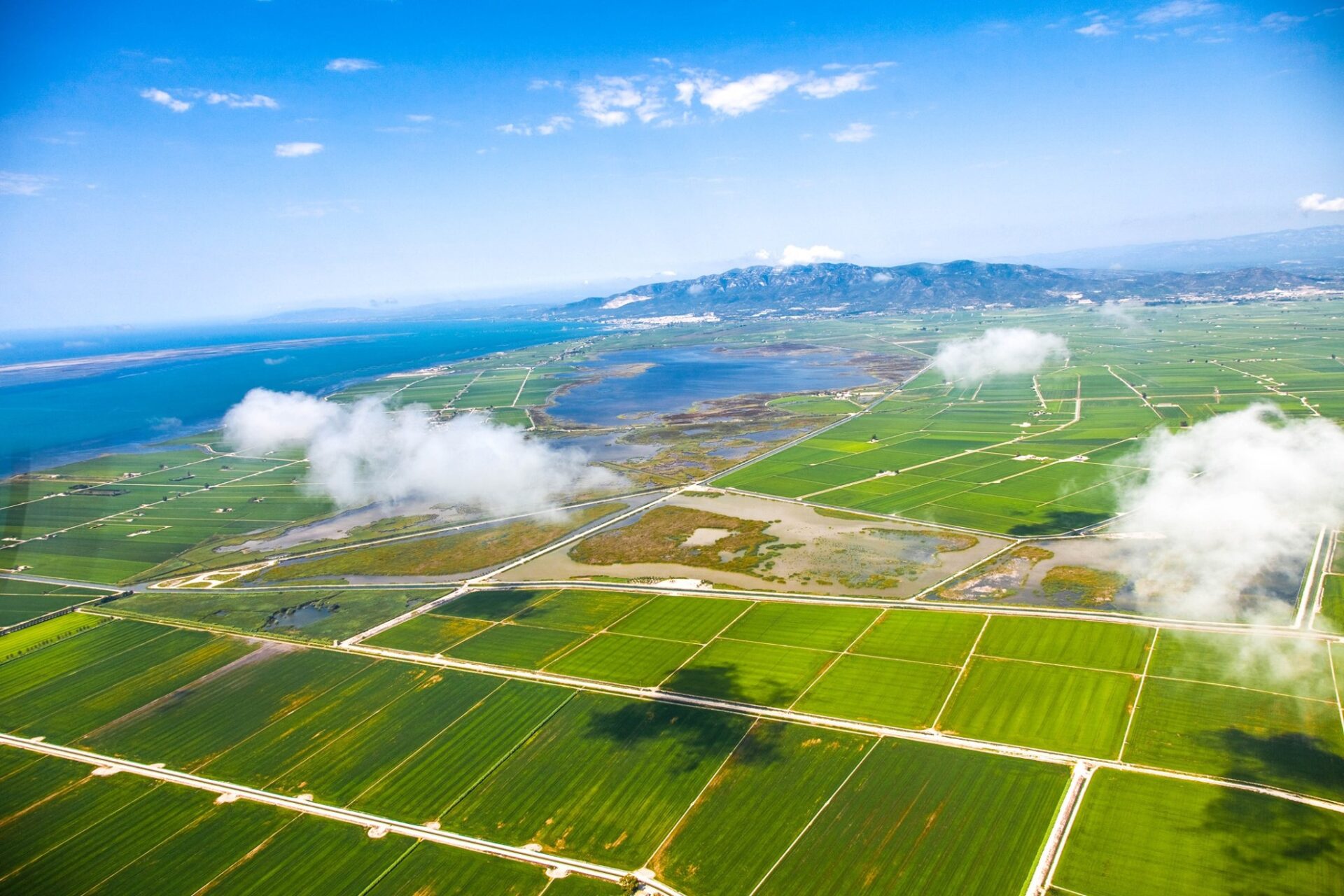 Parc naturel du Delta de l’Èbre - Turisme La Ràpita