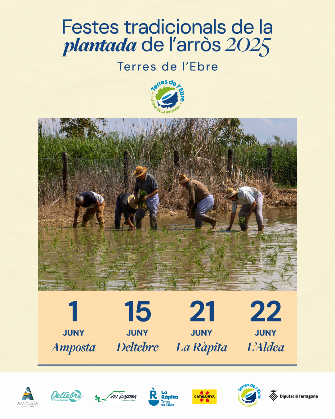 Festes tradicionals de la plantada de l'arròs - Turisme La Ràpita